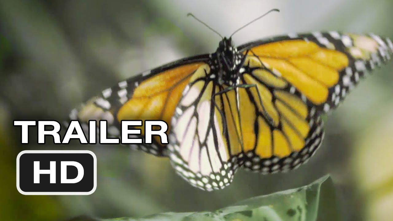 Flight of the Butterflies Official Trailer #1 (2012) - IMAX 3D Movie HD
