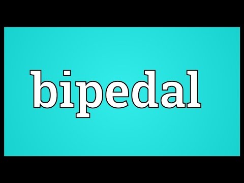 Bipedal Meaning