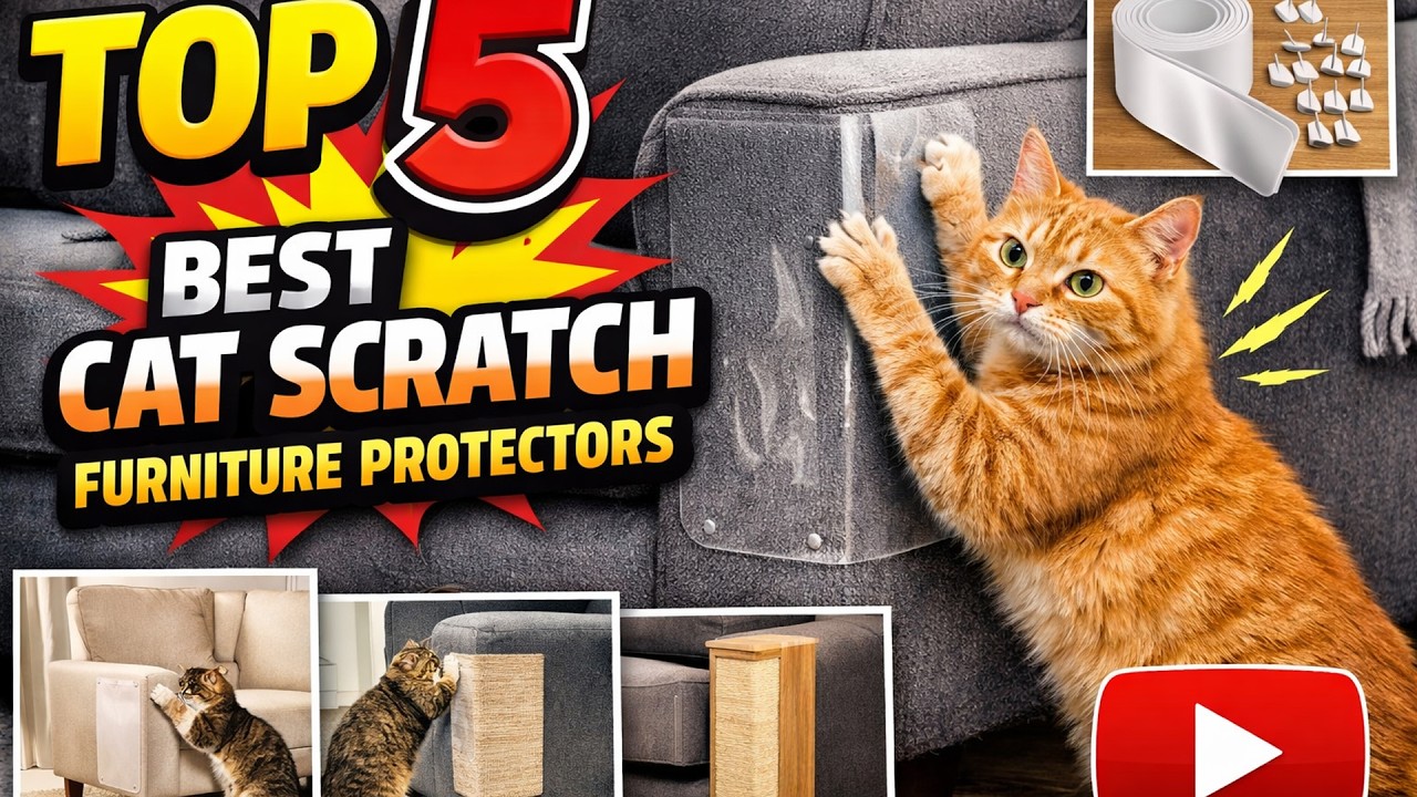 ✅Top 5 Best Cat Scratch Furniture Protectors 2026