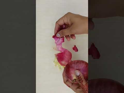 How to make homemade pesticide for plants #fertilizer #viral #shorts