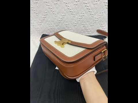 Celine Triomphe Shoulder Bag ft Hazelluxury #oldmoneyoutfits #fashionbags #summerfashion