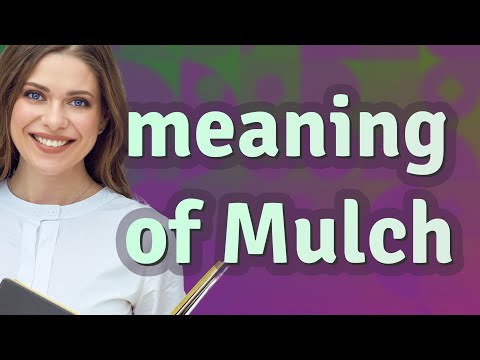 Mulch | meaning of Mulch