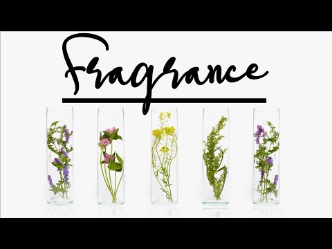 What is Fragrance? | सुगंध | खुशबू | خوشبو | Quickest and Easiest Explanation in Hindi