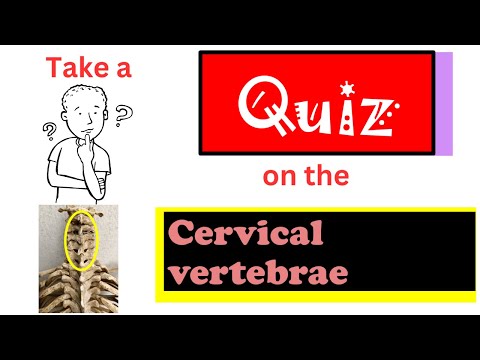 Quiz on the cervical vertebrae