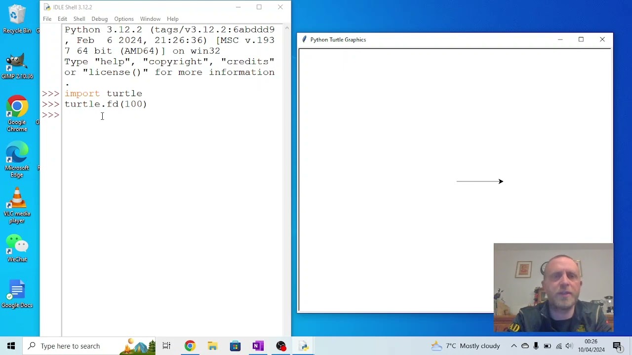 Using Python Turtle to make basic shapes