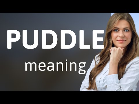 Puddle | PUDDLE meaning