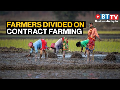 Farmers divided on contract farming due to rising labour, fertiliser prices