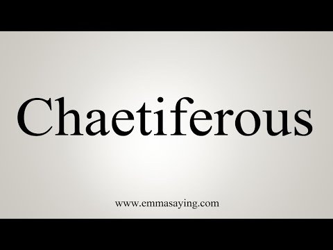 How To Say Chaetiferous