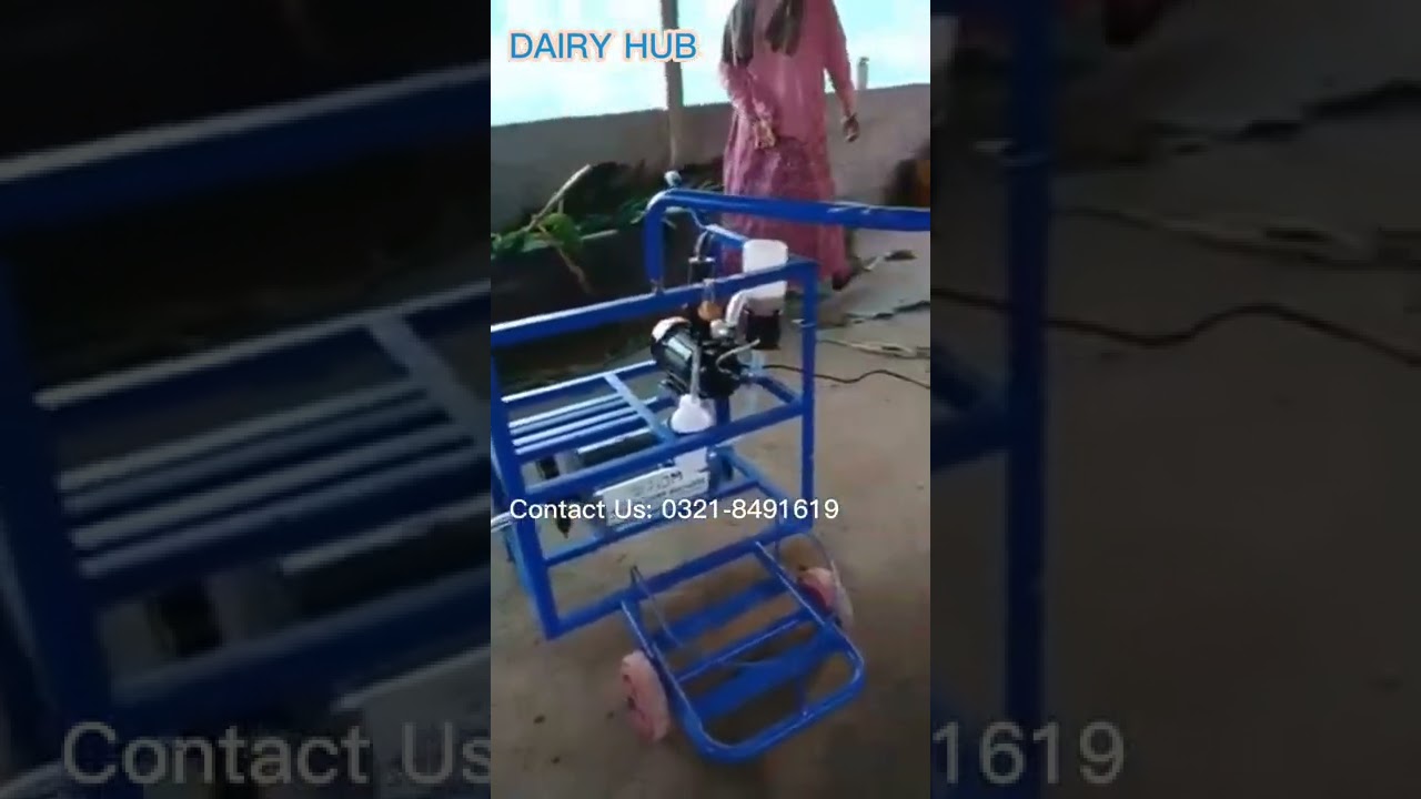 Best Way Of Milking From (BMS) | Dairy Hub Contact Us: 0321-8491619 #milkingmachinery #milking #how