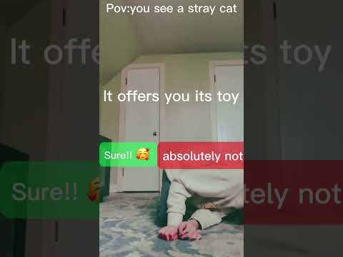 POV u see a stray cat #therian #quadrobics #fypシ #therianthropy #theriotype