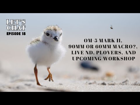 Wednesday recap: OM-5 Mark II, 60mm macro versus 90mm, Live ND and plovers