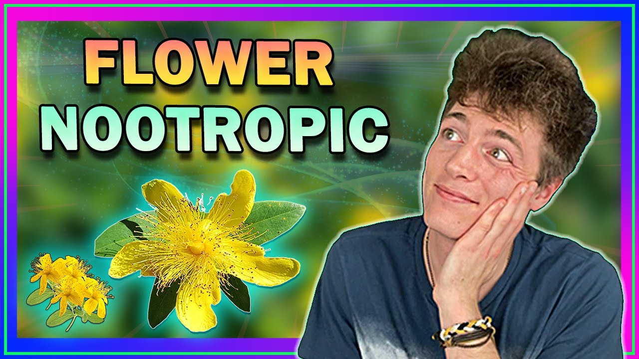 𝗦𝗧. 𝗝𝗢𝗛𝗡'𝗦 𝗪𝗢𝗥𝗧 Review - Flower With Healing Powers || Natural Remedy for Anxiety 🌼