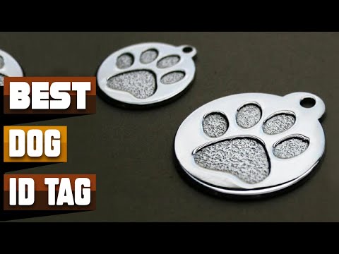 Best Dog ID Tag In 2025 - Top 10 Dog ID Tags Review