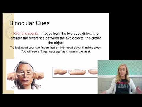 Perceptual Organization Flipped Notes for AP Psychology by Mandy Rice