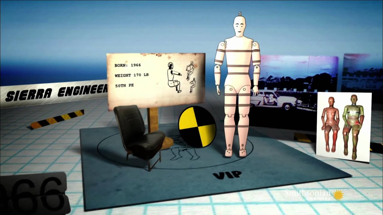 The Physics of Seat Belts