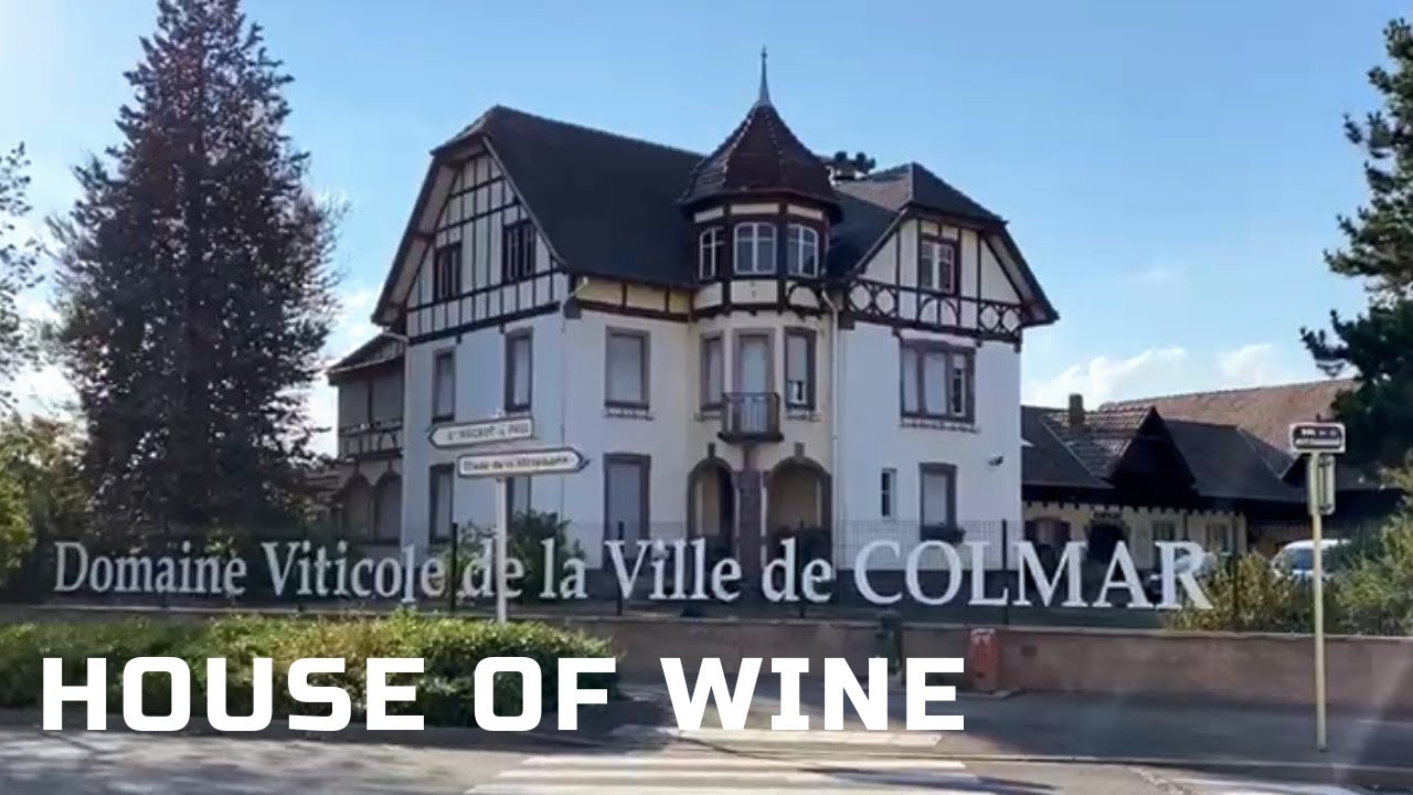 The Biggest Wine Estate in Colmar. Amazing Places to Visit in France.