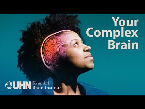 EP0 // Your Complex Brain Podcast