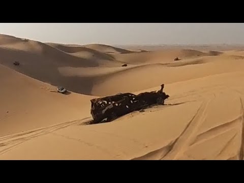 Almost 4X4 , Kill Shot - Intermediate