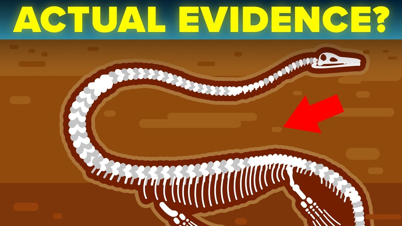 Scientists Find Best Evidence That The Loch Ness Monster Actually Exists?