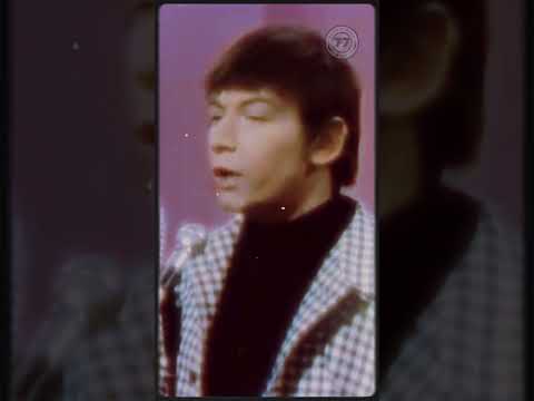 THE ICONIC Voice ERIC BURDON’S The Animals