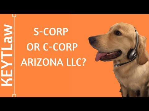 What is the Difference between a C and an S corp in 2024?