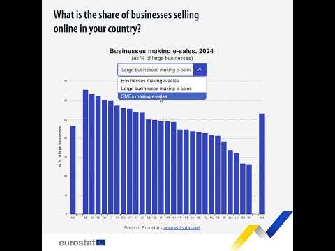 Digitalisation in Europe β 2025 edition out now