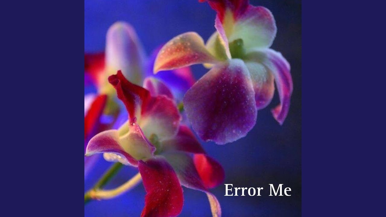 Error Me