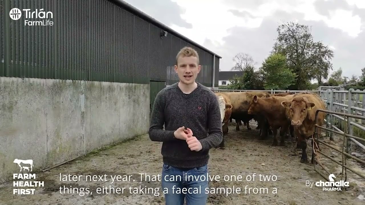 Fluke & Worm Injection for Cattle