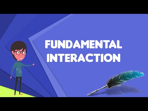 What is Fundamental interaction?, Explain Fundamental interaction, Define Fundamental interaction