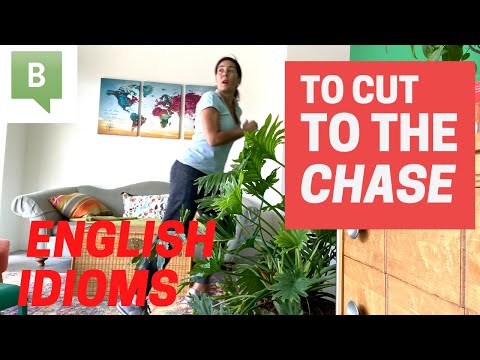 Cut to the Chase! English Idioms