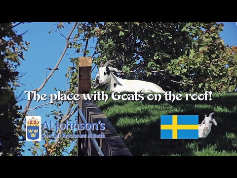 "The Place with Goats on the Roof"