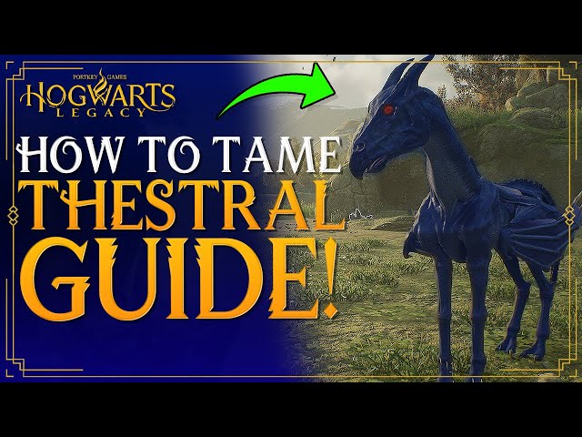 How to find Thestrals and obtain Thestral Hair in Hogwarts Legacy?