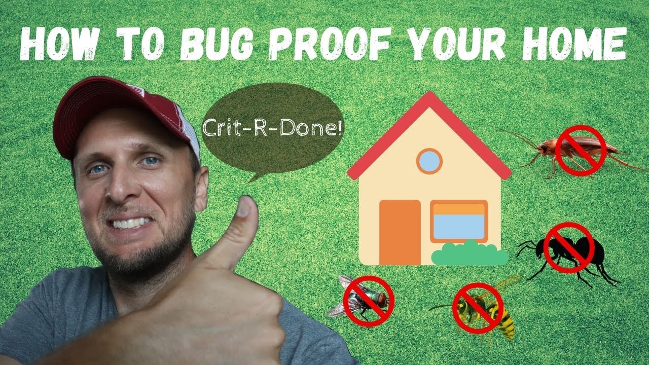How To Keep Bugs Out Of Your Home | Bug Proof Your House (4 Common Entry Points)