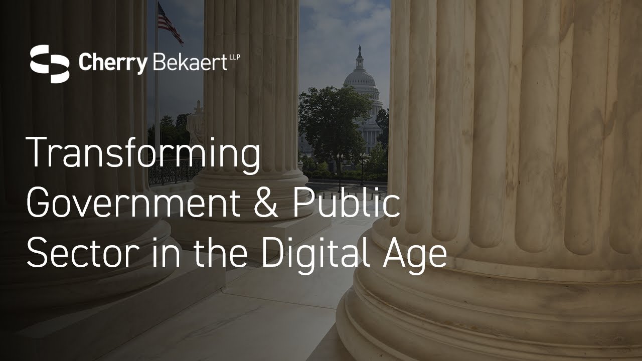 Transforming Government & Public Sector in the Digital Age