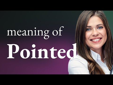 Pointed | what is POINTED meaning