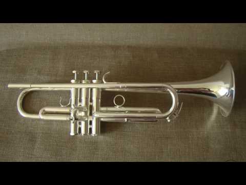Schilke B5-B Bb-Trumpet Beryllium iMuso
