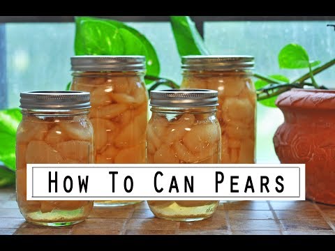 Canning Pears Made Simple! (Bonus: Easiest Way To Peel Pears)