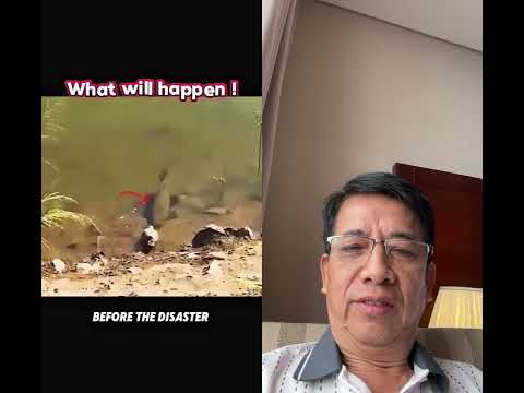 Ambush is awesome! #memes #funny #automobile #viralvideo