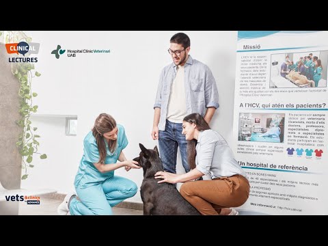 14.HCV- PATOLOGÍA CLÍNICA. Maximiza la información que obtienes del proteinograma.