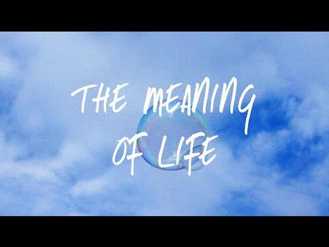 The meaning of life (el sentido de la vida)