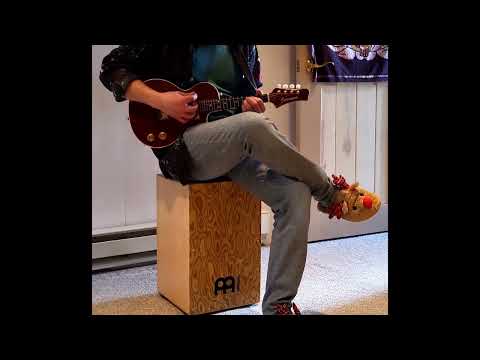Jerman 4 String Electric Mandolin | Reverb