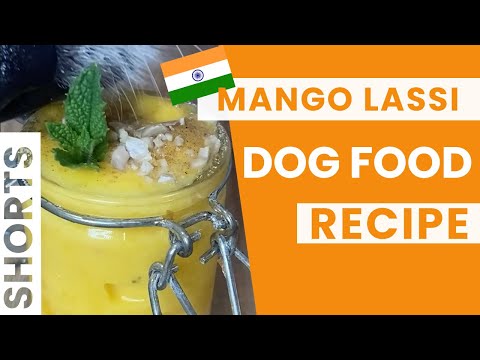 Mango Lassi for Dogs! | कुत्तों के लिए मैंगो लस्सी रेसिपी