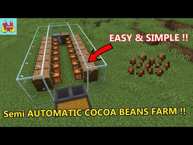 How to build an automatic cocoa beans farm in Minecraft