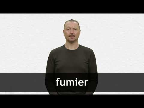 English Translation of “FUMIER” | Collins French-English Dictionary