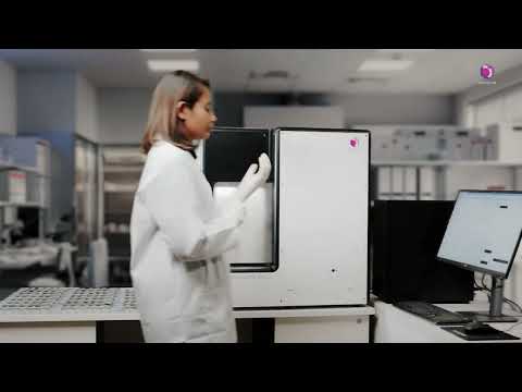 Digital Pathology - Morphle WSI Auto Scanner Wholesaler from Ahmedabad