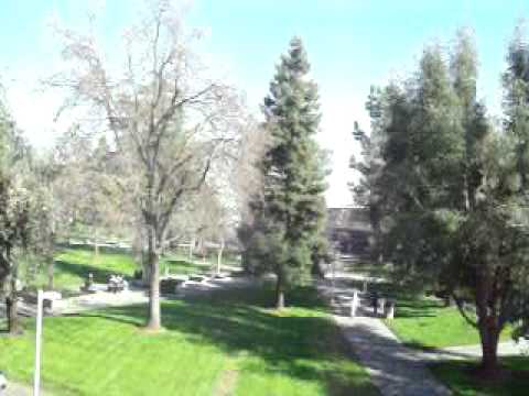 College of the Sequoias Visalia, California February 2012 From A Sky Level