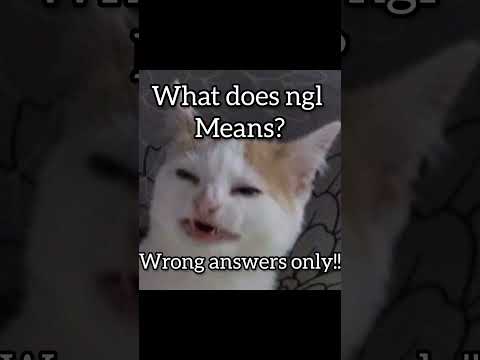 what does ngl means?