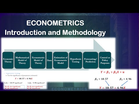 Methodology of Econometrics