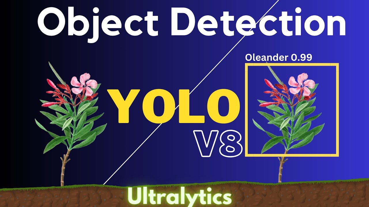Medical Plant Detection Project Using Machine Learning | YOLOv8