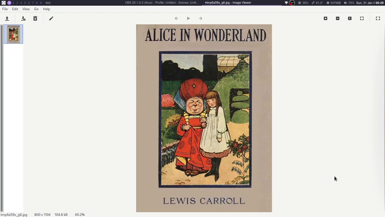 CLI Terminal Ebook Reader epy v2021.1.31